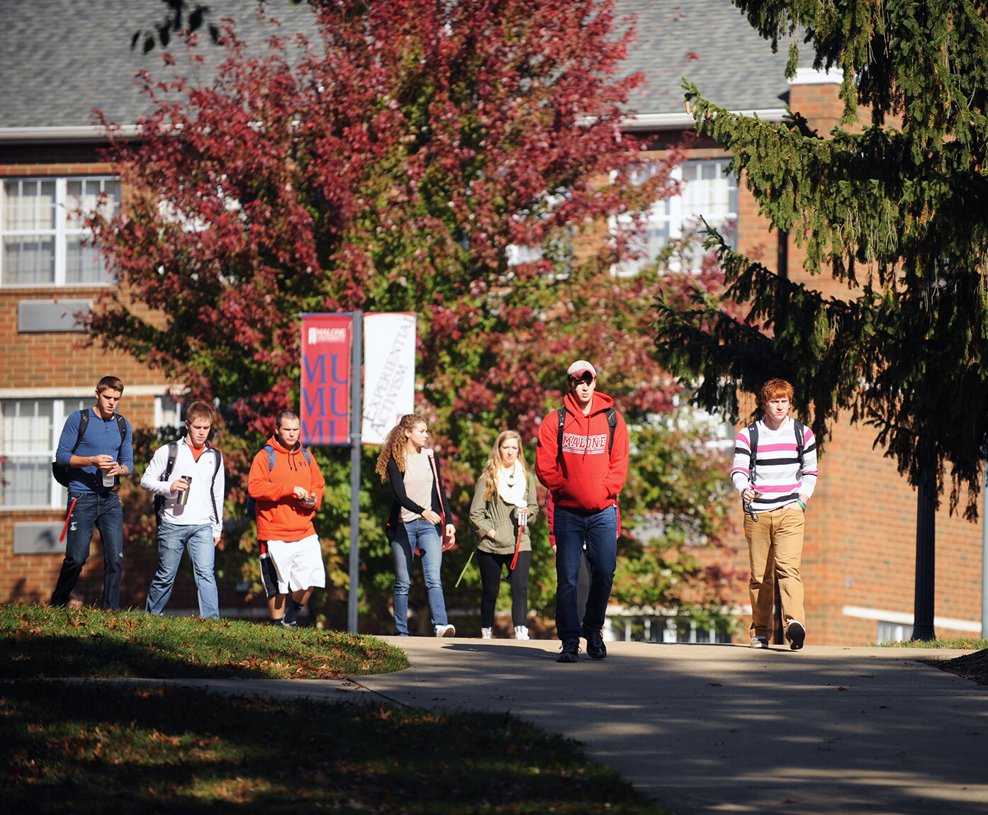 Why Malone | Malone University